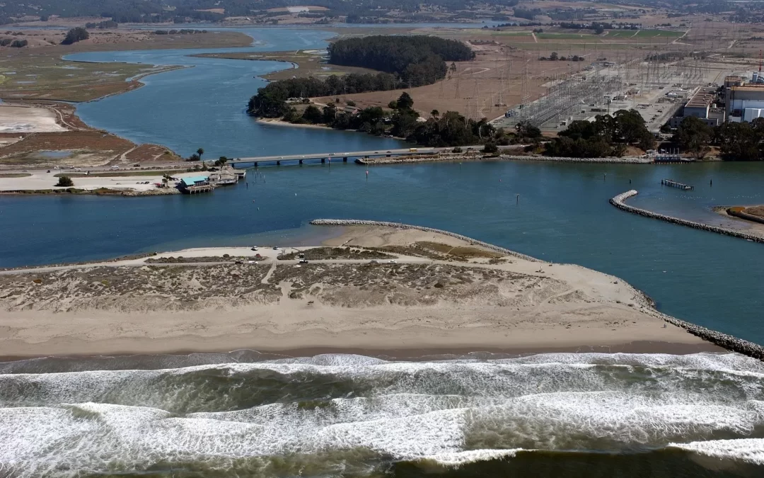 Nitrogen Cycle Archives - CoastView